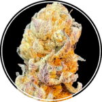 Real Growers Recharge – Professional Strength Natural Plant Growth ...
